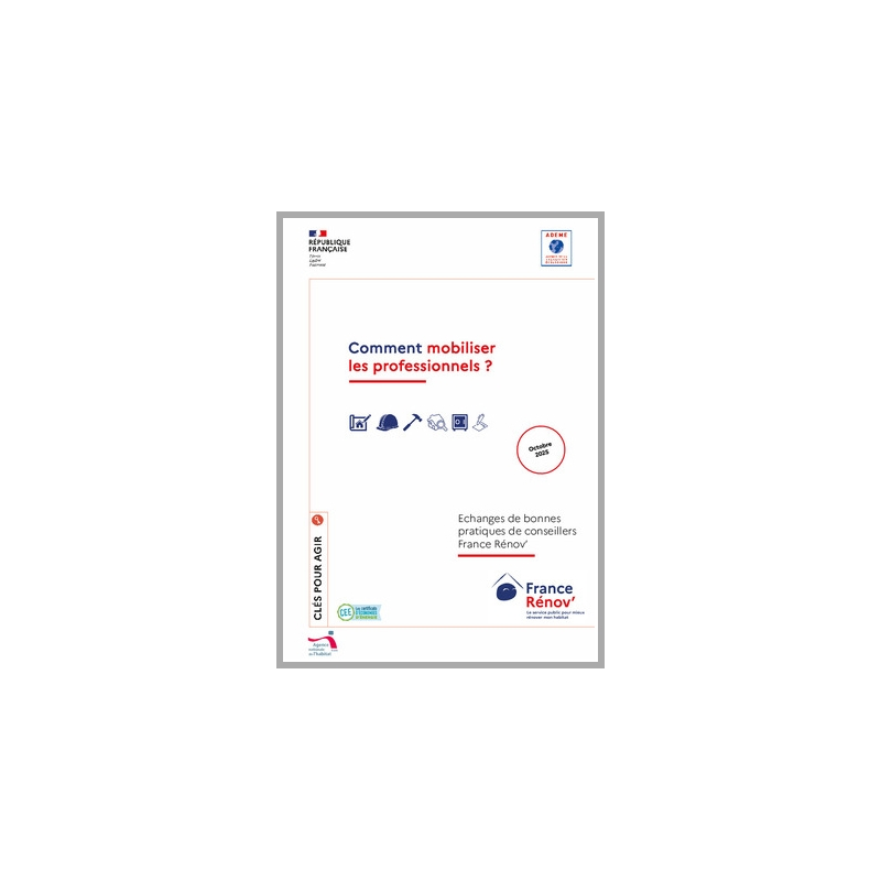 Comment mobiliser les professionnels ? Echanges de bonnes pratiques de ...